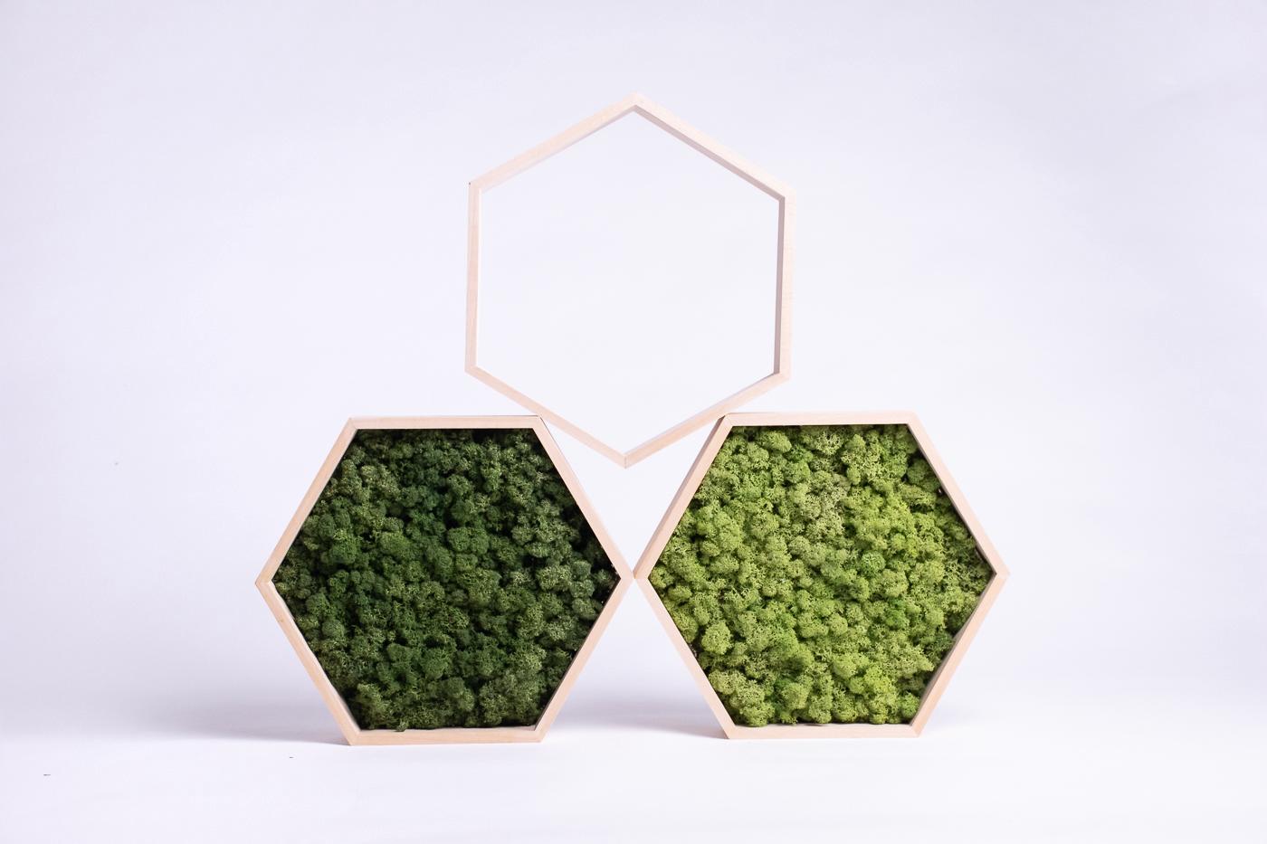 Šestkotnik Panj z mahom 33x29cm – livingwalls.si