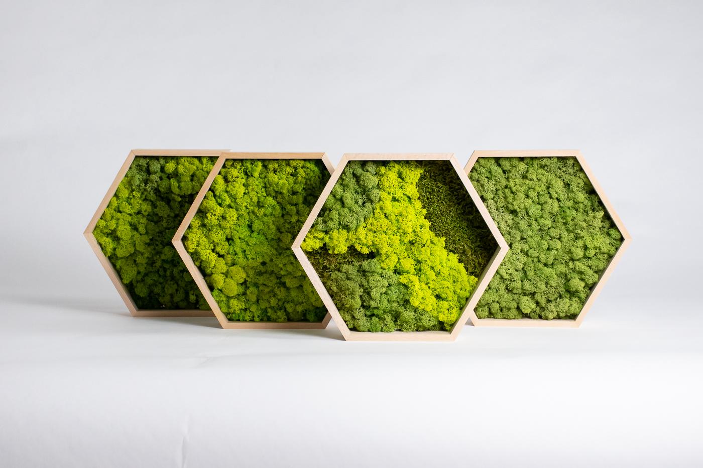 Šestkotnik Panj - Special edition 33x29 – livingwalls.si
