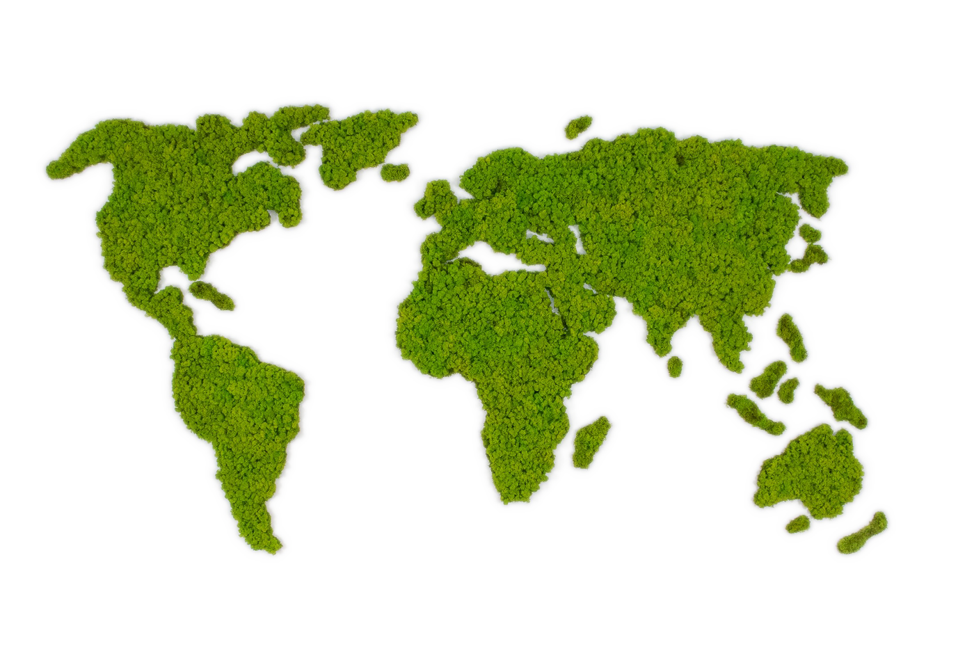 Karta svijeta od mahovine 150x90cm - S – livingwalls.si